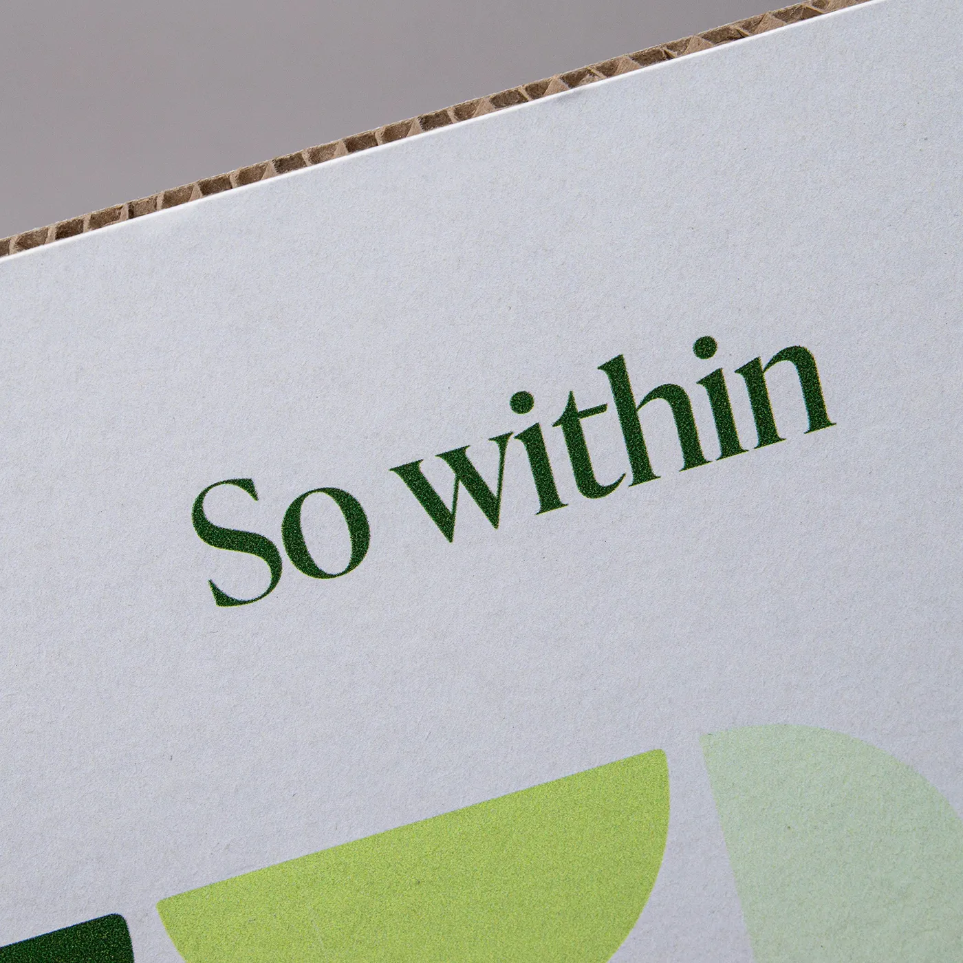 Display Board Printing | A0, A1 & A2 Boards | Printed.com