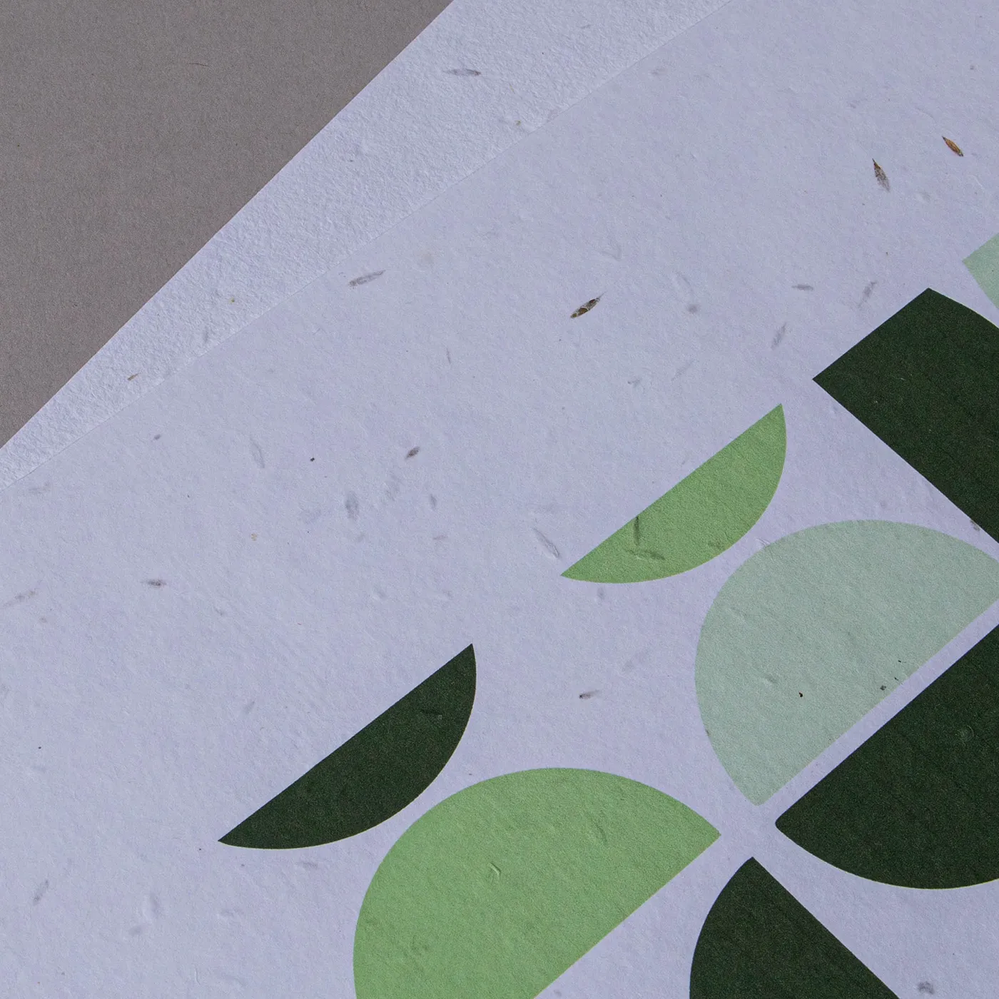 Seed Paper | Custom Seed Paper Printing | Printed.com