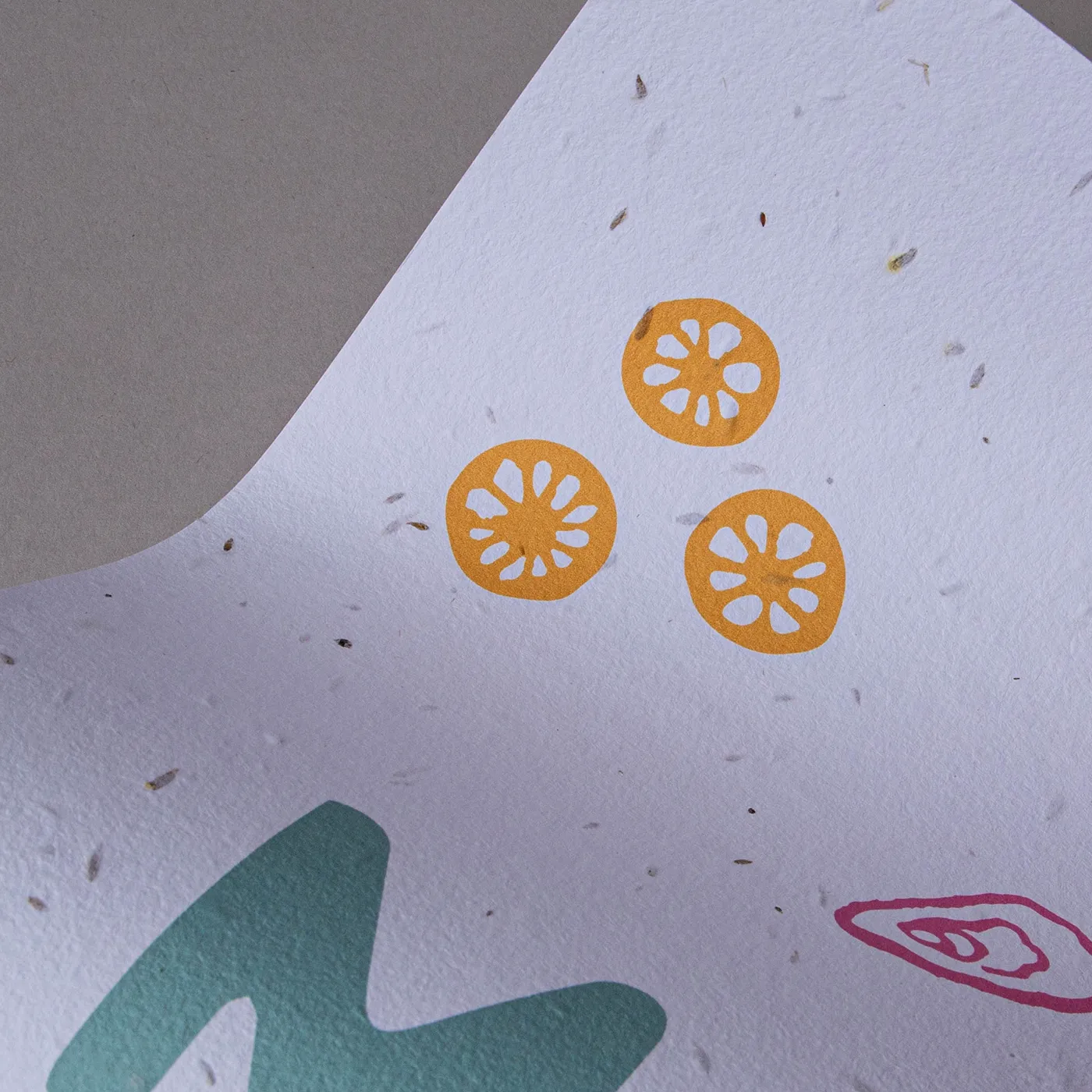 Flower Seed Cards | Eco-friendly Plantable Seed Cards