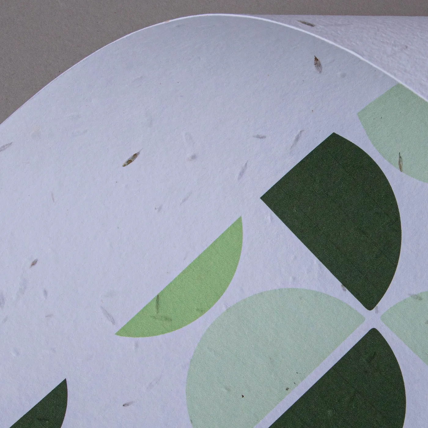 Seed Paper | Custom Seed Paper Printing | Printed.com