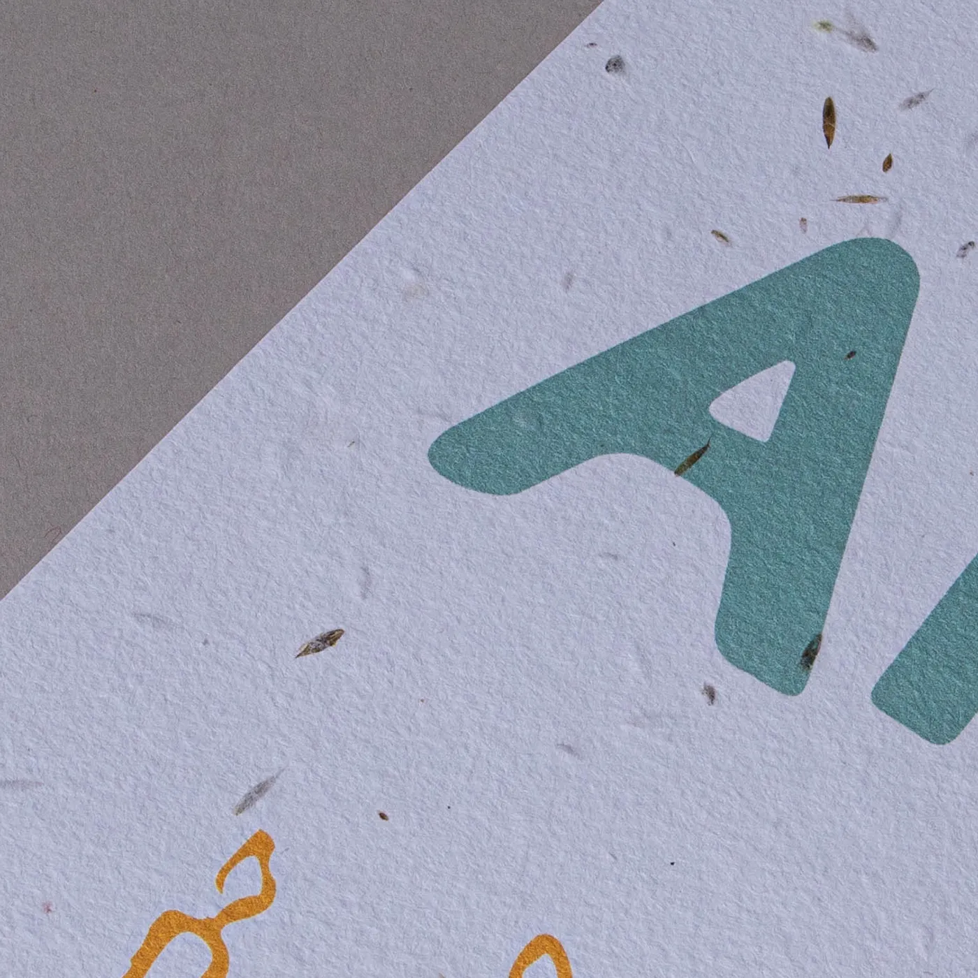 Seed Paper | Custom Seed Paper Printing | Printed.com