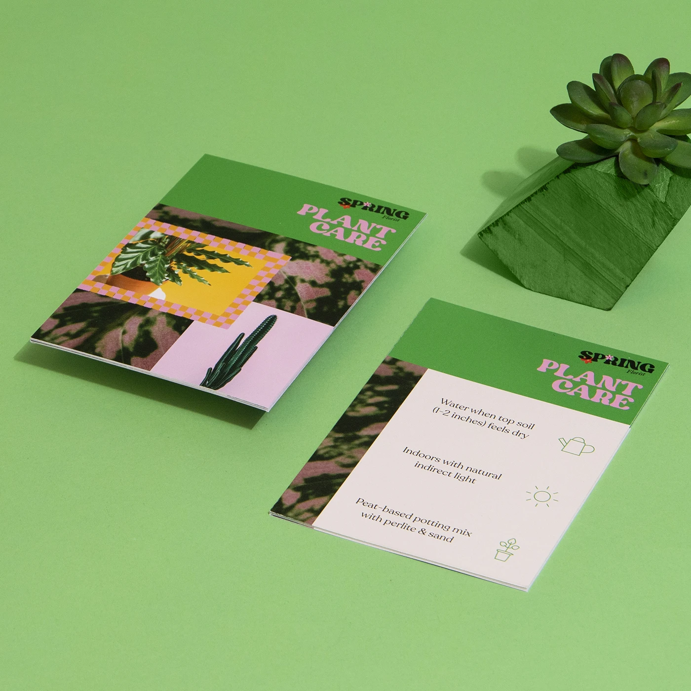 Product Care Card Printing | Next Day Delivery | Printed.com