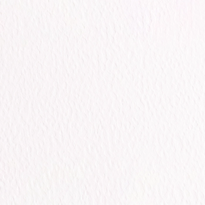 Business Cards | Next Day Delivery Available | Printed.com